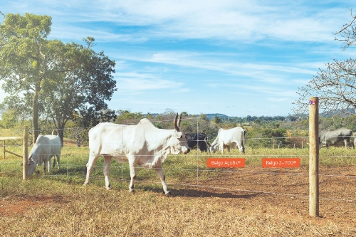 Belgo AçoFix | Belgo Arames - Distanciador (balancim) pelo melhor preço